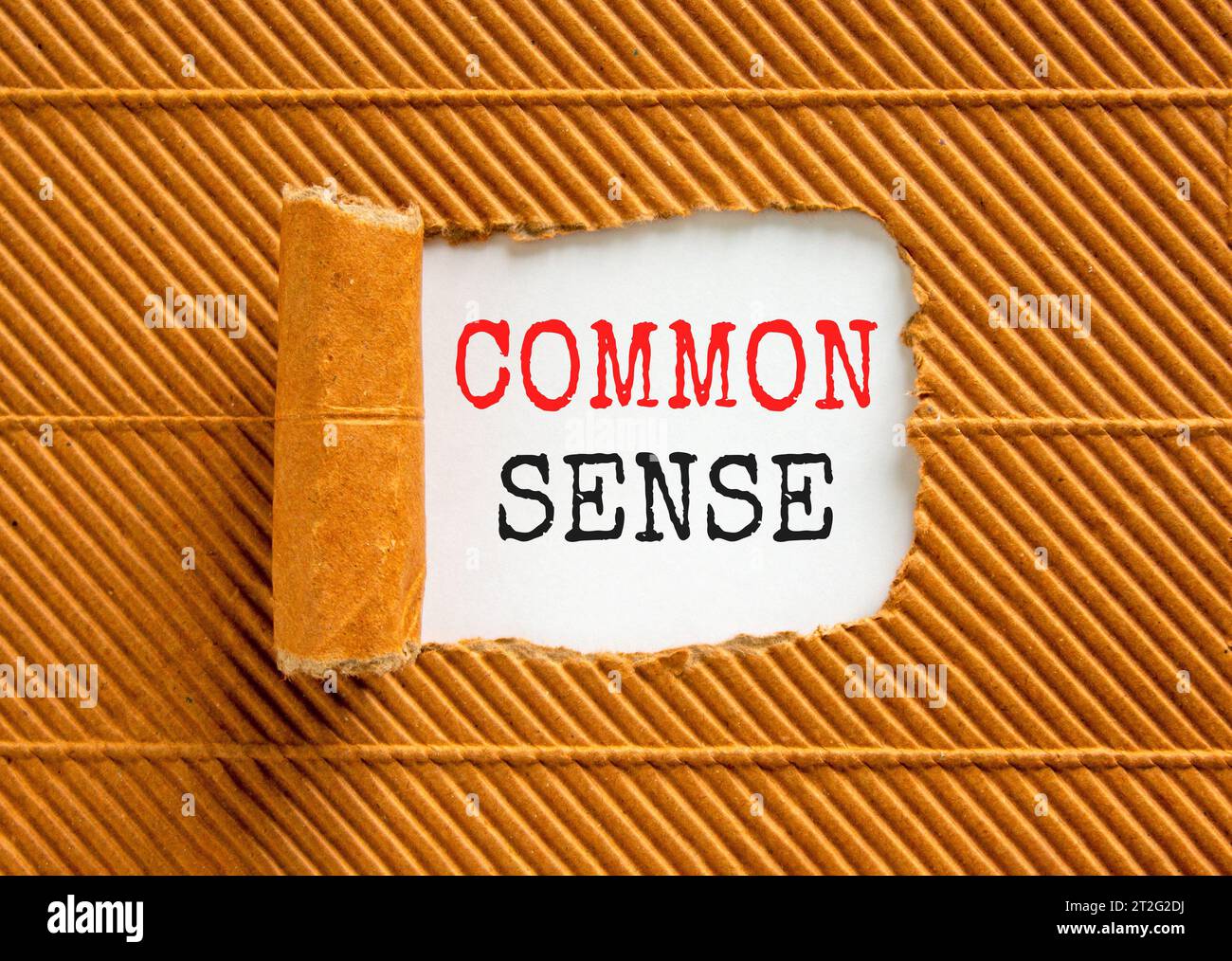 Common sense symbol. Concept words Common sense on beautiful white ...