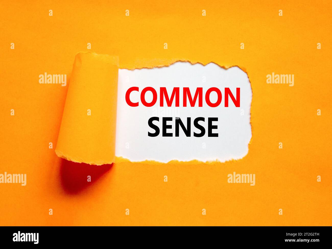 Common sense symbol. Concept words Common sense on beautiful white ...