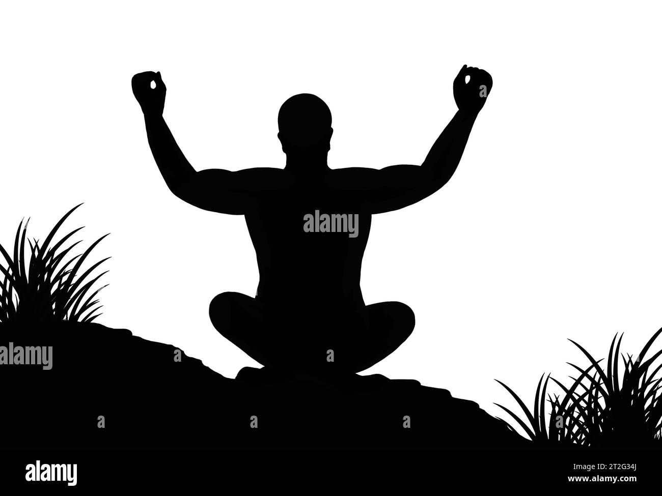 Tai chi Black and White Stock Photos & Images - Alamy