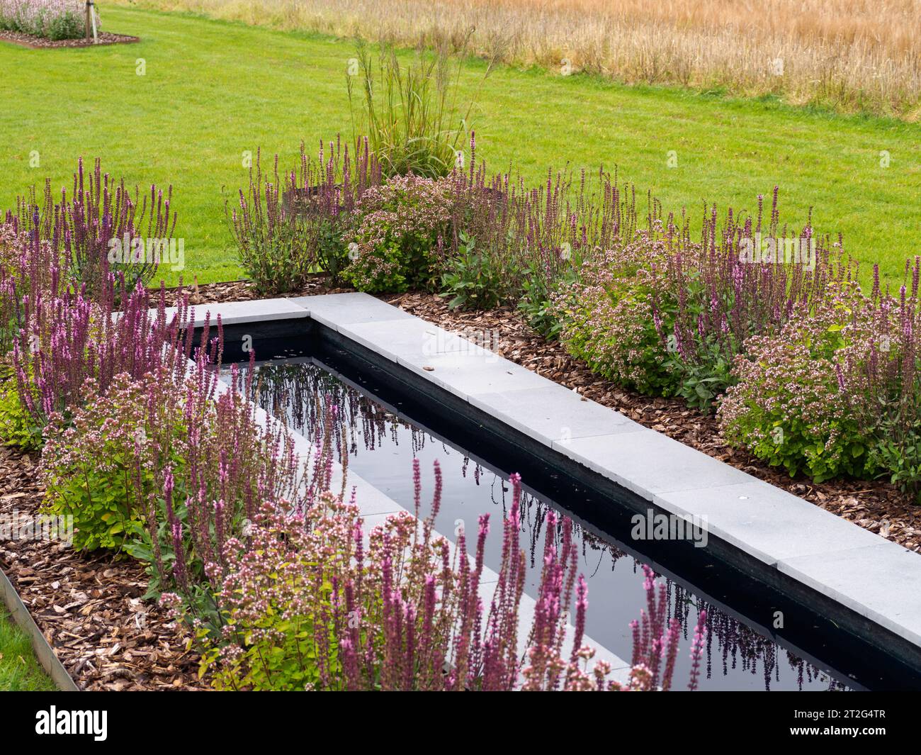 Rill hi-res stock photography and images - Alamy