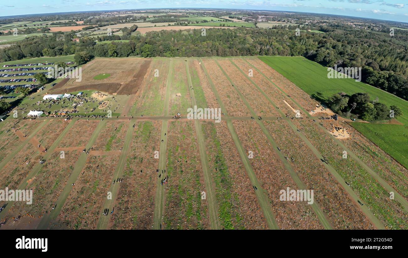 An aerial view of a Pumpkin Patch near Rougham in Suffolk, UK Stock ...