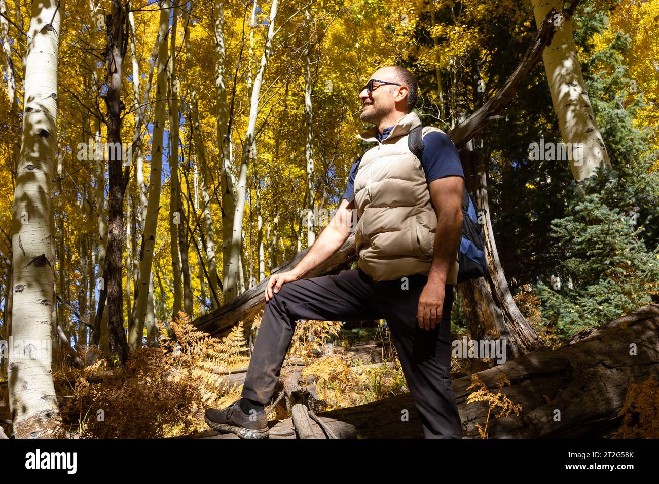 40 yo Man Stands On Fallen Tree And Looks Away In Autumn Forest, Nature ...