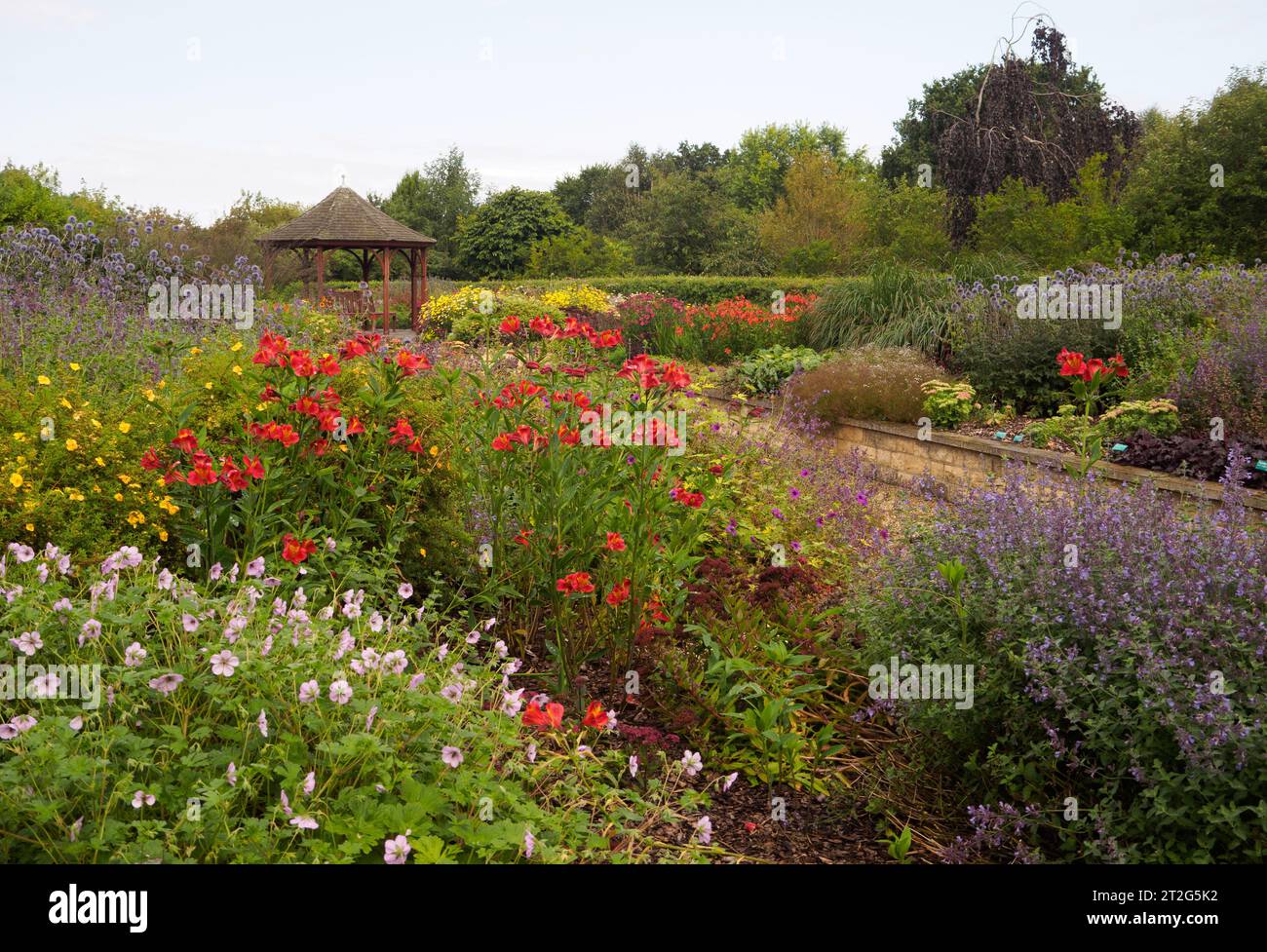 Border planting at Breezy Knees Gardens near York Stock Photo - Alamy
