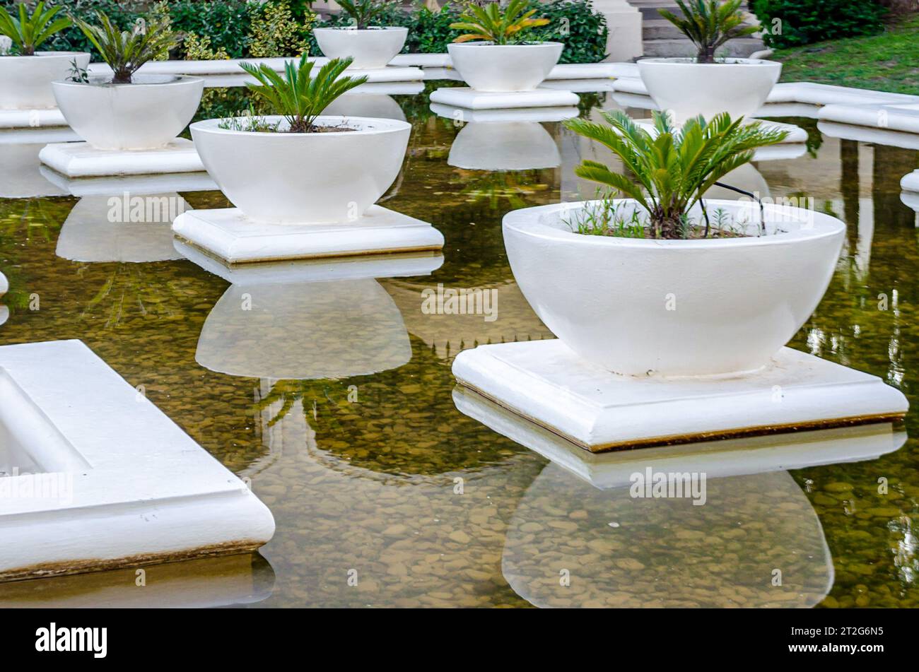 Beautiful Garden with White Stone Flower Pots in a Pool. Small Palm ...