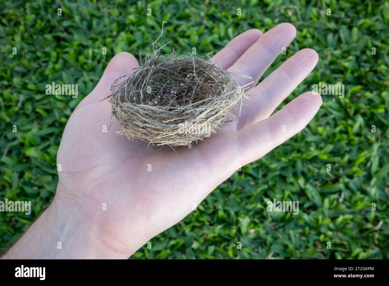 Hand with nest hi-res stock photography and images - Alamy