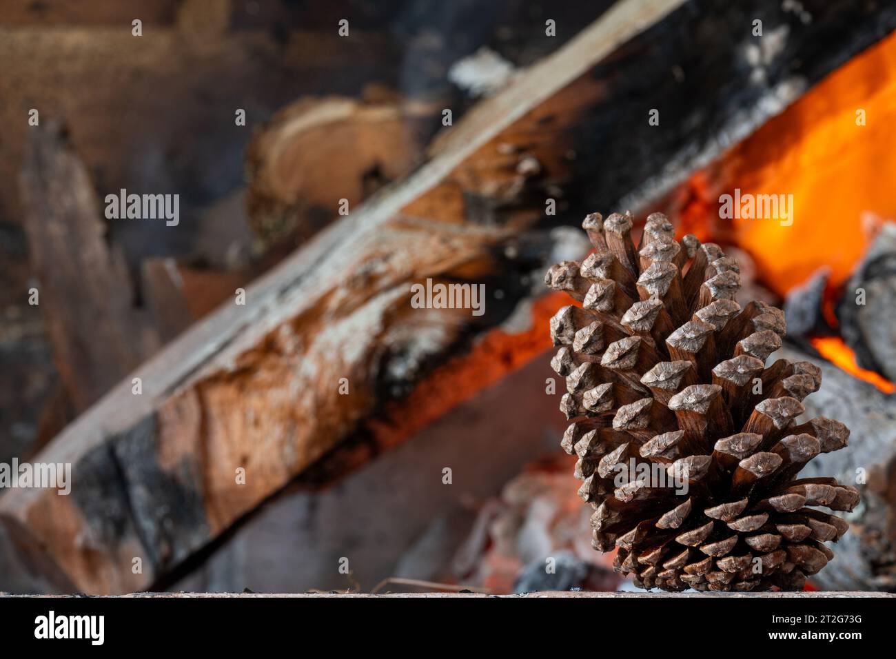 Burning old dry grass hi-res stock photography and images - Alamy