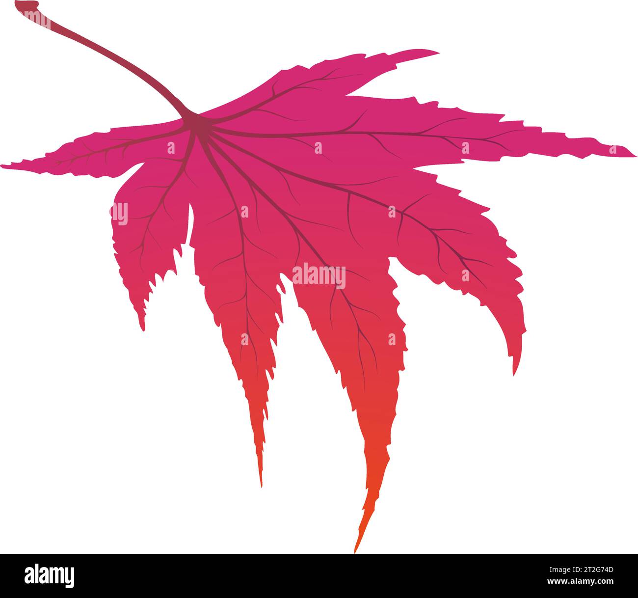 Maple autumn leaf. Element for making fall season designs. Vector ...