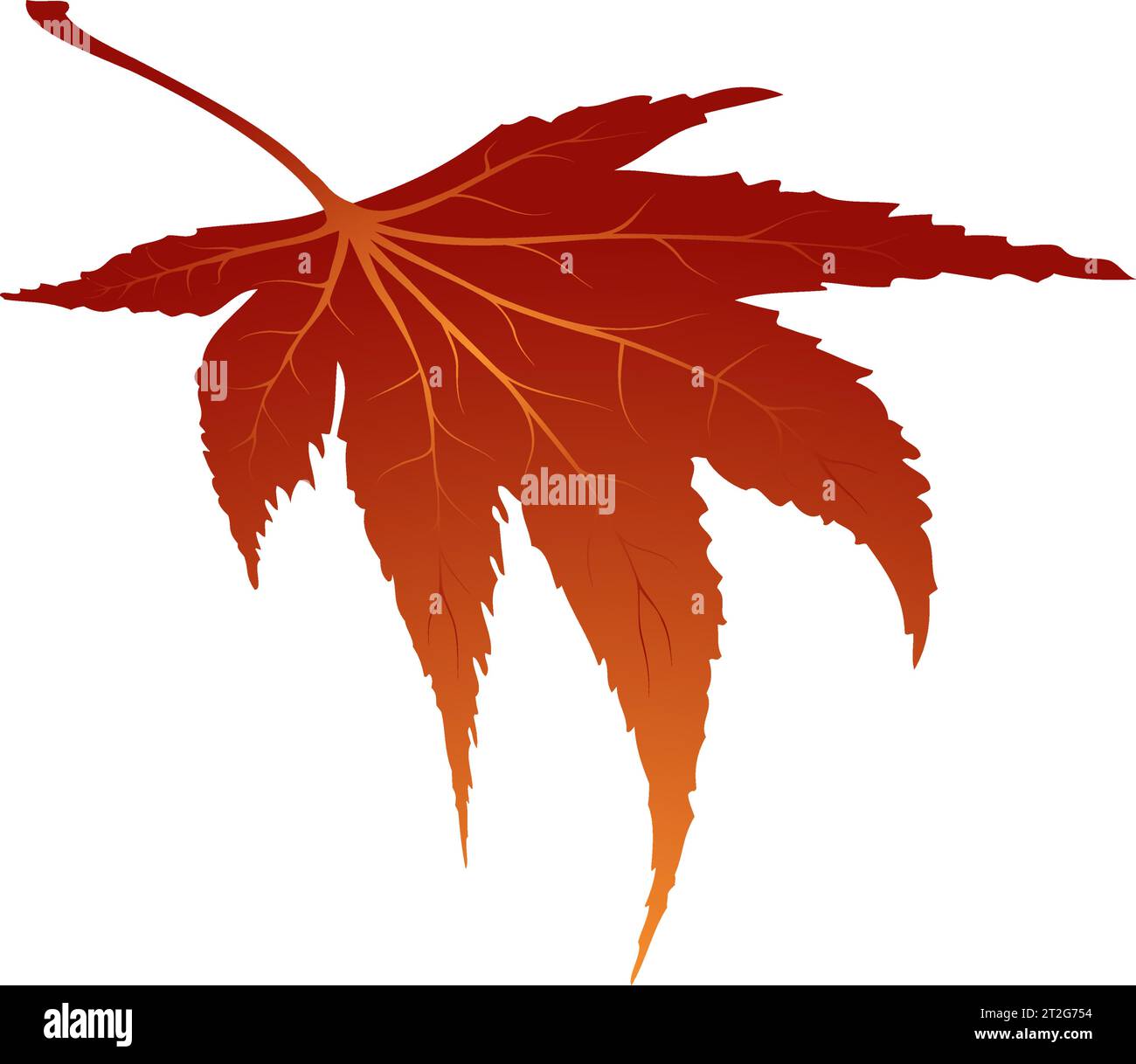 Maple autumn leaf. Element for making fall season designs. Vector ...