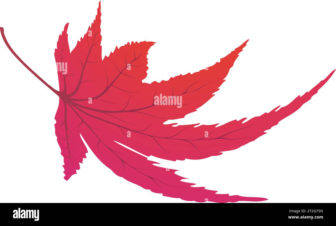 Maple autumn leaf. Element for making fall season designs. Vector ...