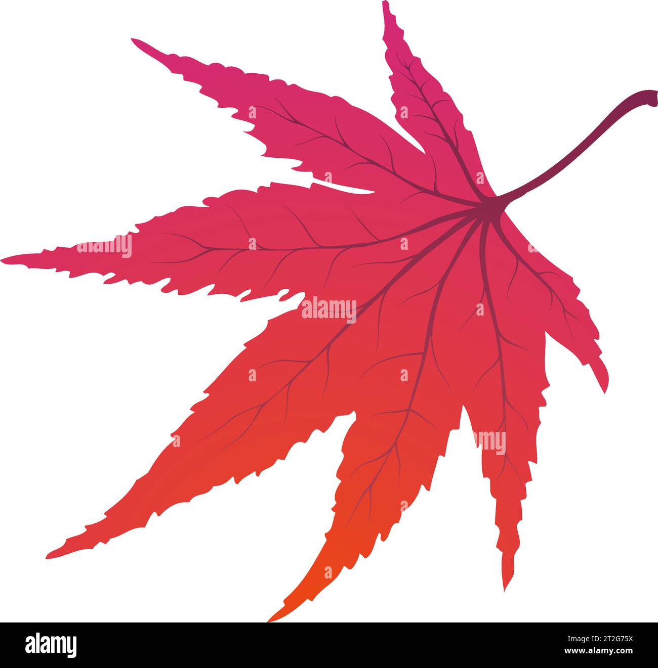 Maple autumn leaf. Element for making fall season designs. Vector ...