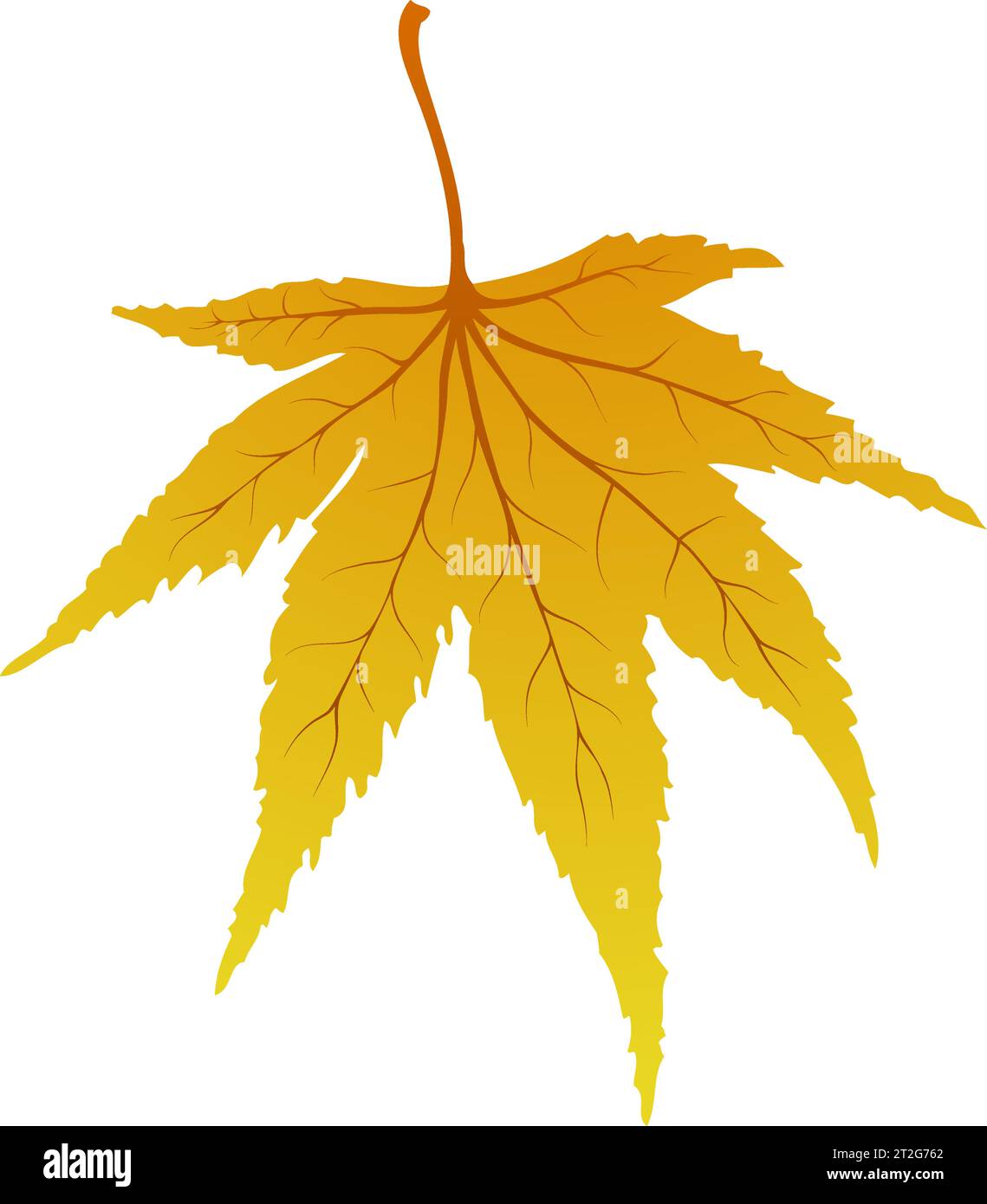 Maple autumn leaf. Element for making fall season designs. Vector ...