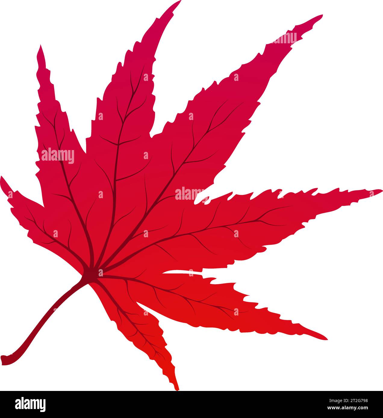 Maple autumn leaf. Element for making fall season designs. Vector ...