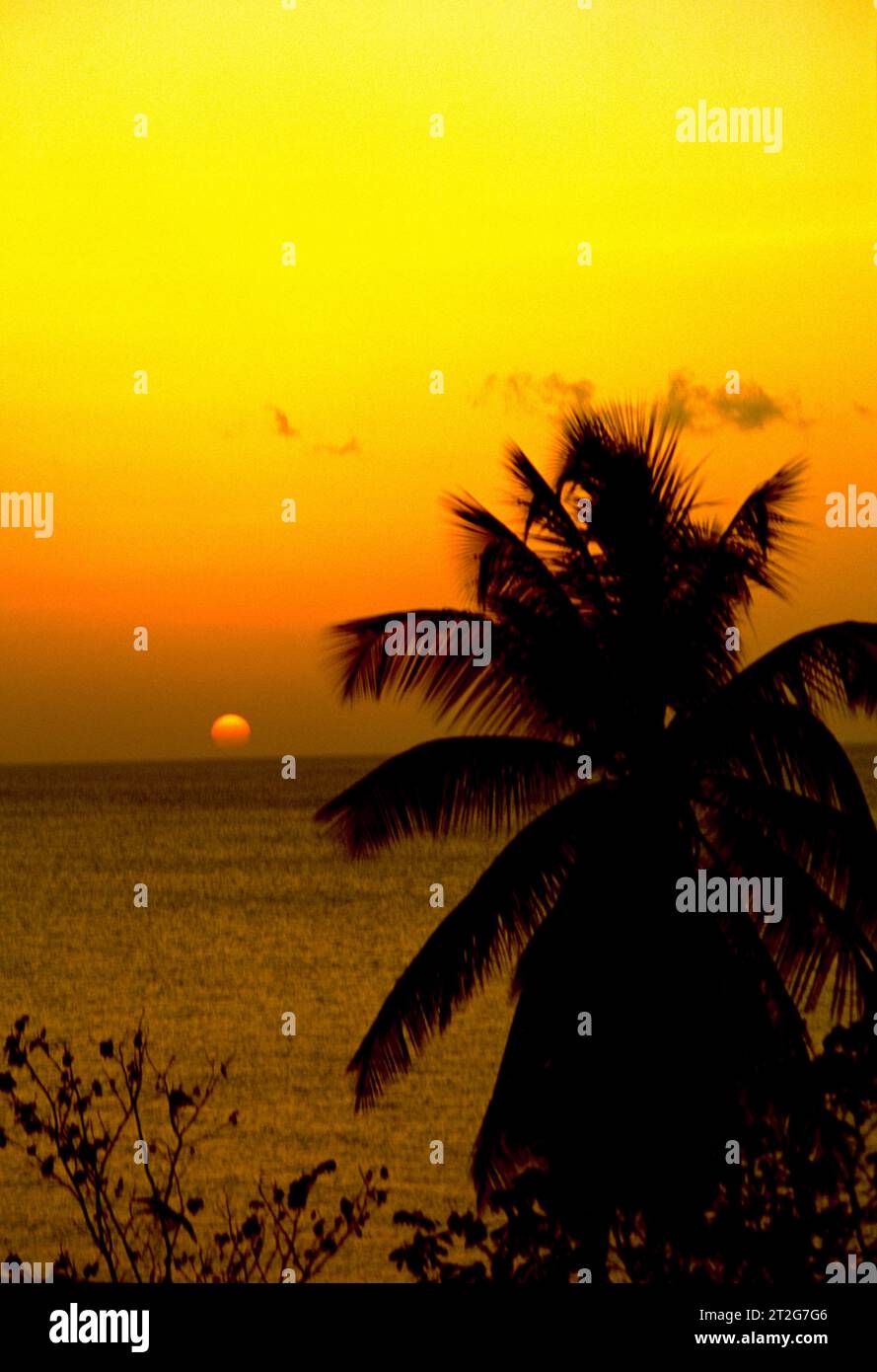Setting sun palm tree hi-res stock photography and images - Alamy