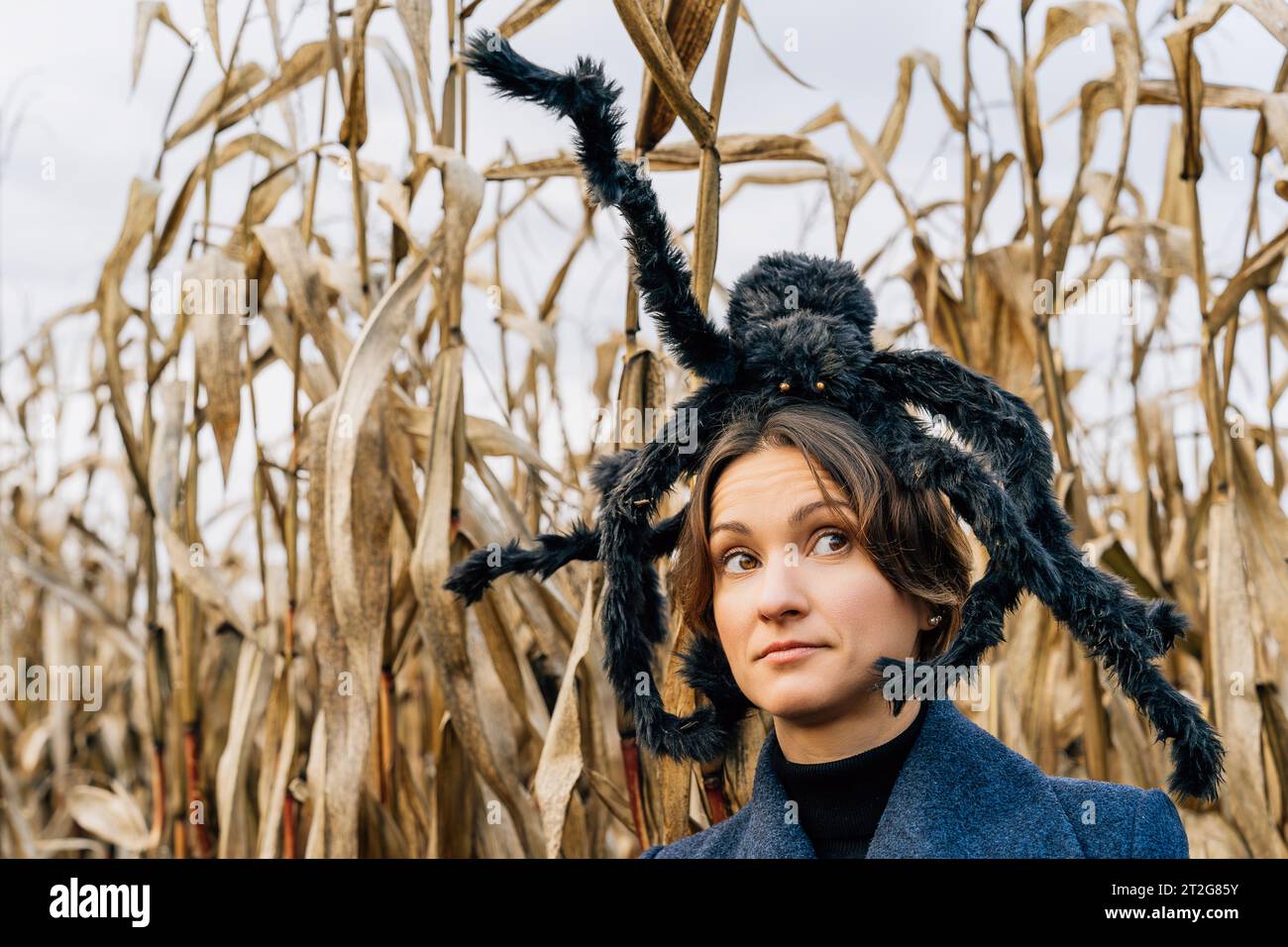 Portrait of a woman in a cornfield with a huge toy furry spider on her ...