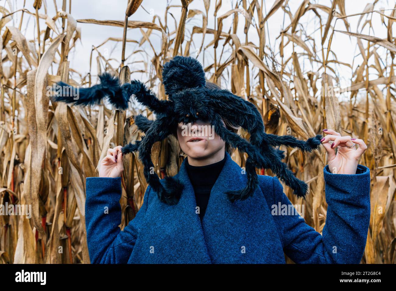 Huge black toy spider on a woman's head in a cornfield during a ...