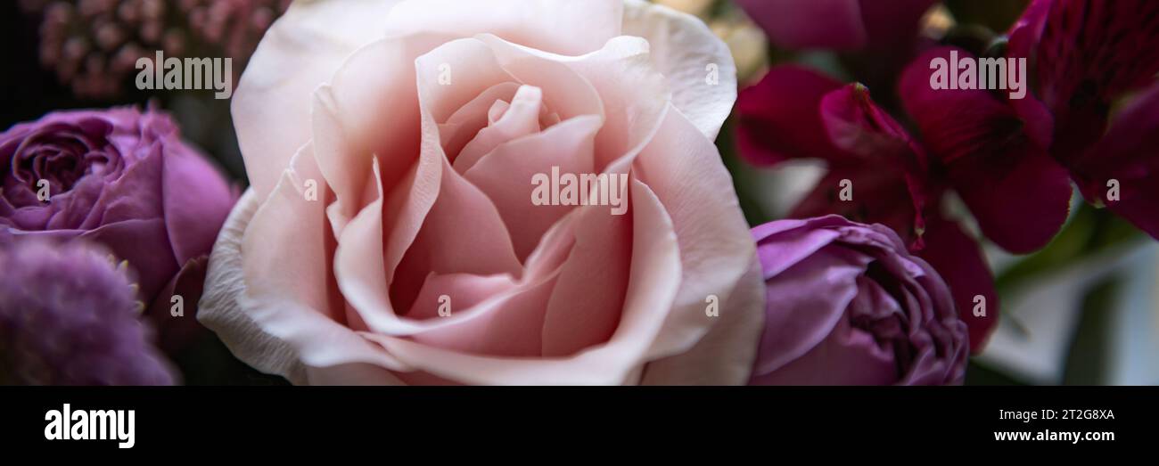 Roses and gypsophila bunch of flowers Stock Photo - Alamy