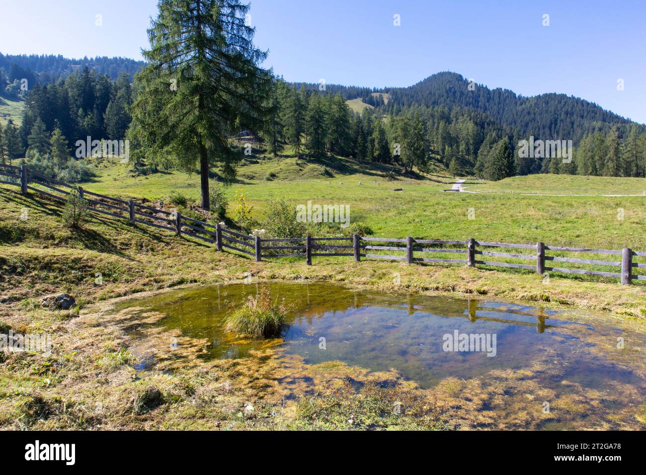 Grassy alpine valley hi-res stock photography and images - Alamy