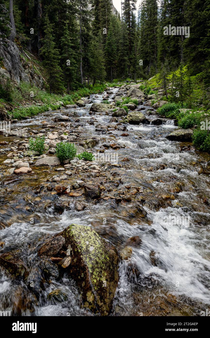 WY05310-00...WYOMING - Clark Creek in the Bridger Wilderness area near ...