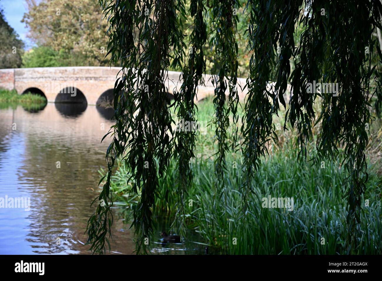 Five Arches, Foots Cray Meadows Nature Reserve, London Borough of Bexley, Kent, UK Stock Photo ...