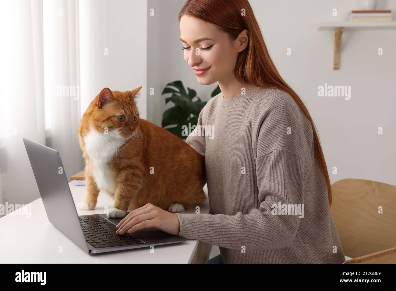 Girl student cat desk hi-res stock photography and images - Alamy