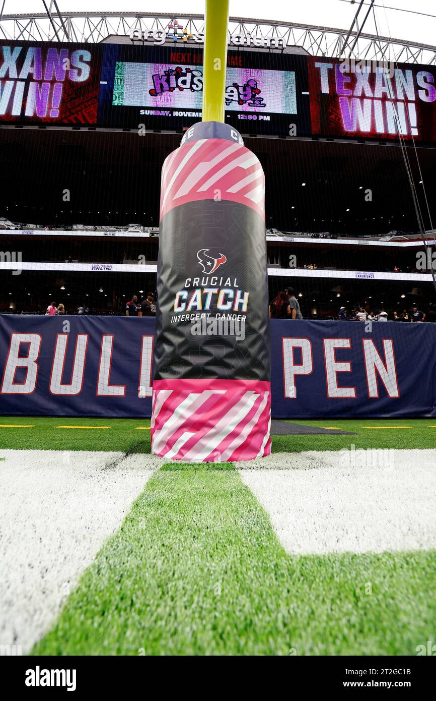 The Crucial Catch logo is seen on the field goal pad at NRG Stadium ...