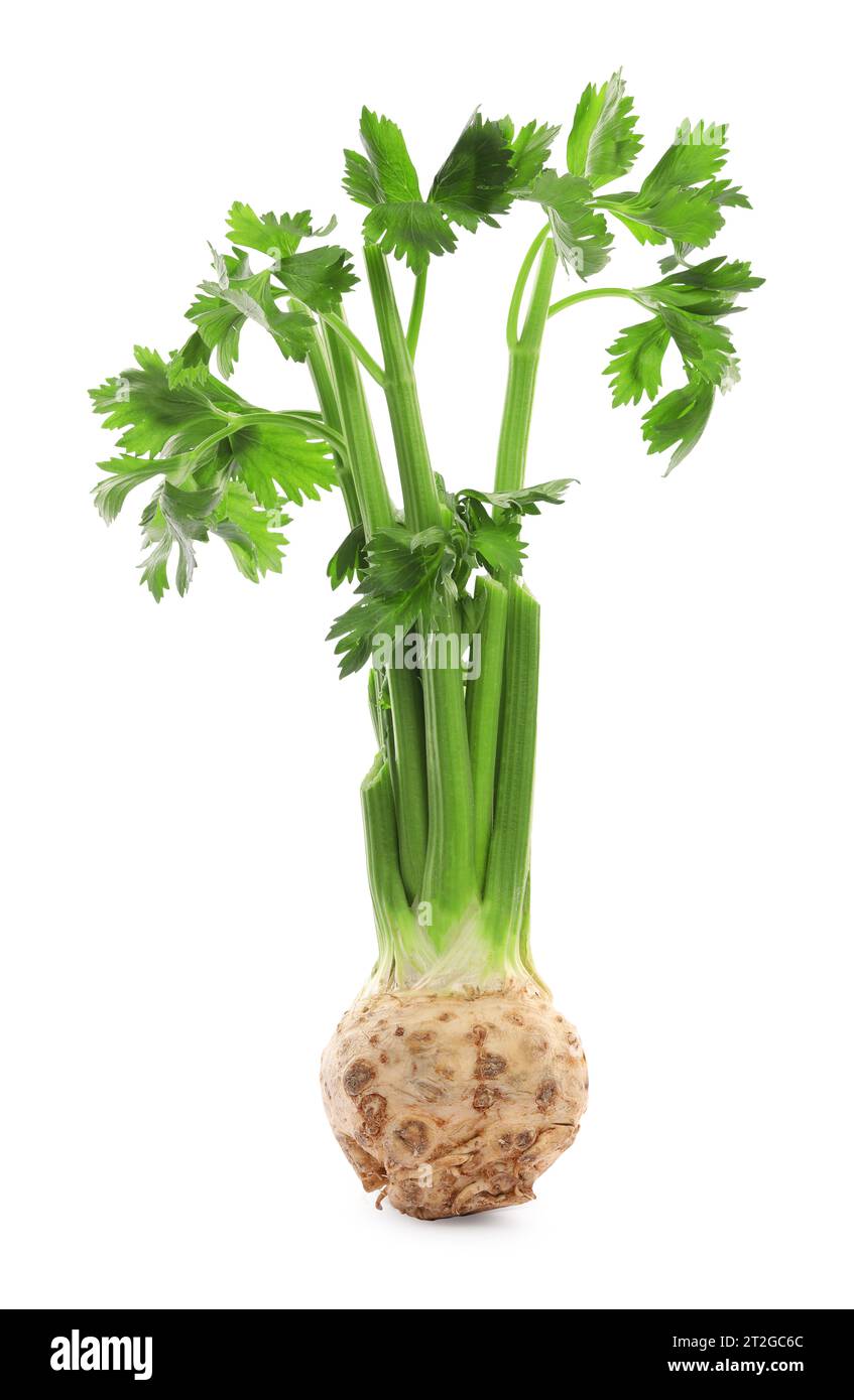 Fresh raw celery root with stalks isolated on white Stock Photo - Alamy