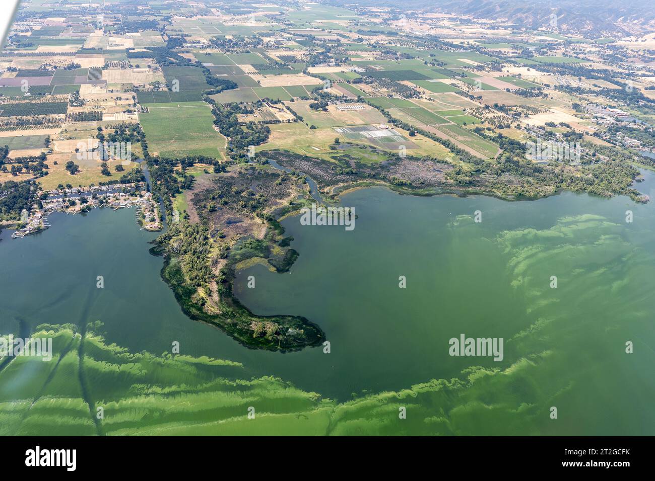 Aerial view of green algae blumes in Clear Lake Stock Photo - Alamy