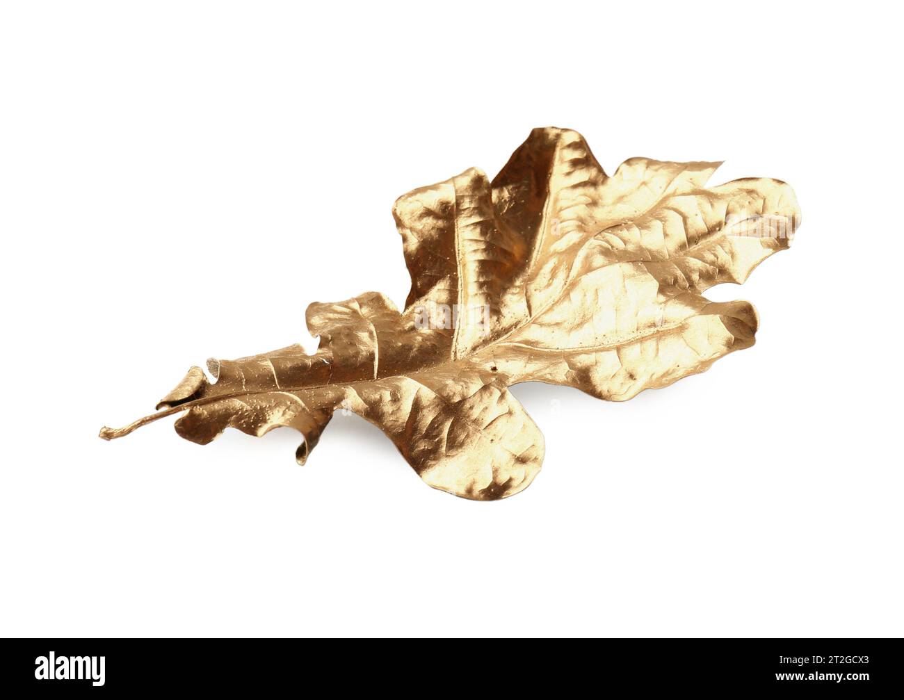 Golden oak leaf hi-res stock photography and images - Alamy