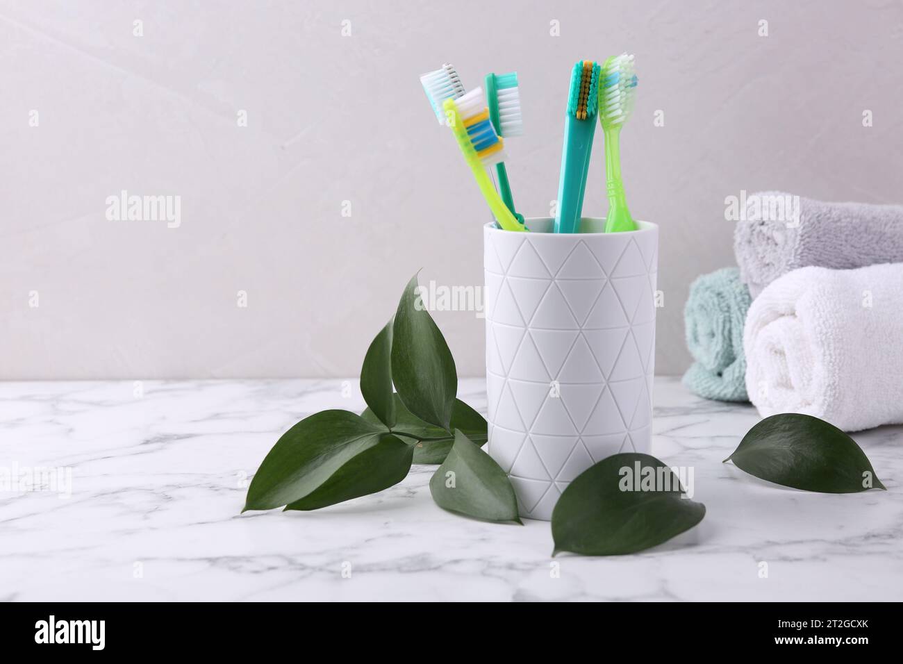Colorful plastic toothbrushes in container and green leaves on white ...