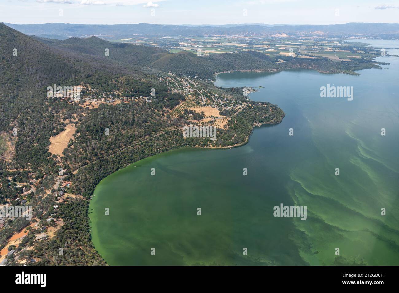 Aerial shot algae in hi-res stock photography and images - Alamy