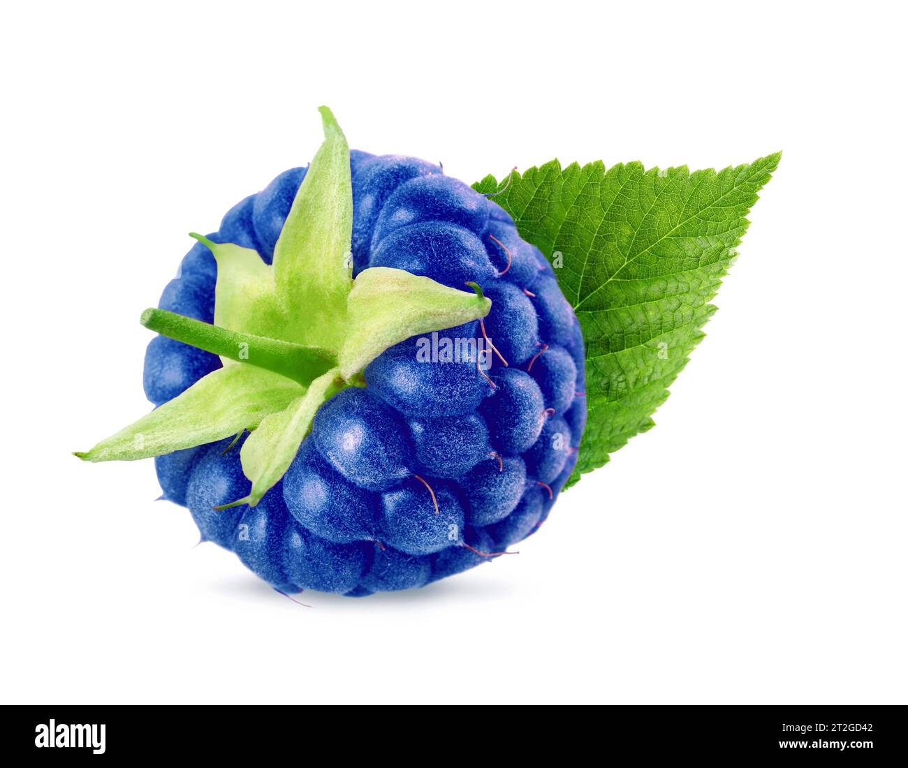 Fresh blue raspberry and green leaf isolated on white Stock Photo - Alamy