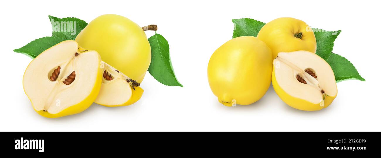 Fresh cut quince isolated on the white background with full depth of ...