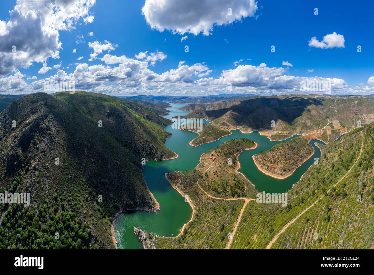 Serpente do medal hi-res stock photography and images - Alamy