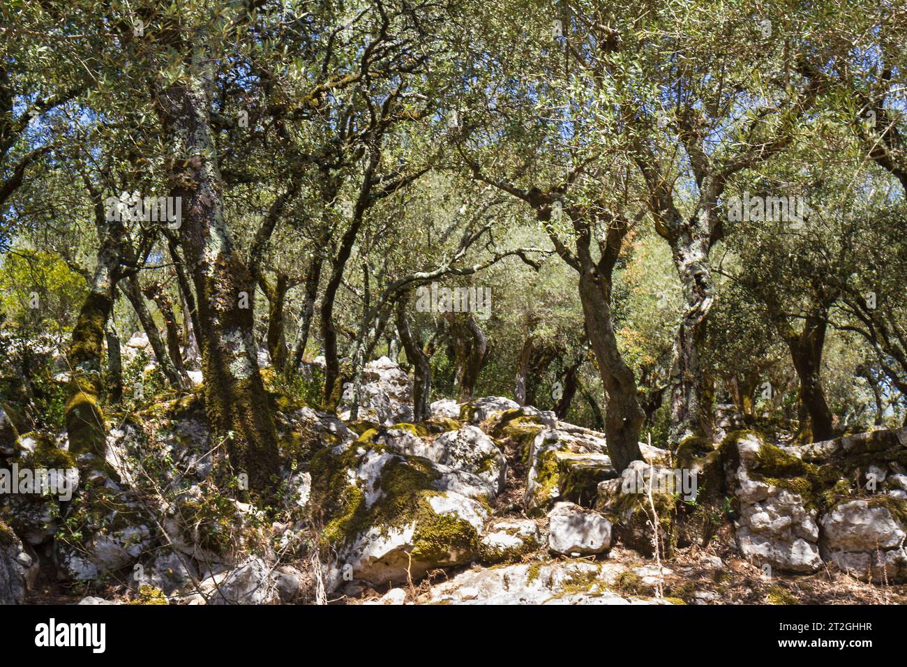 Fatima portugal hi-res stock photography and images - Alamy