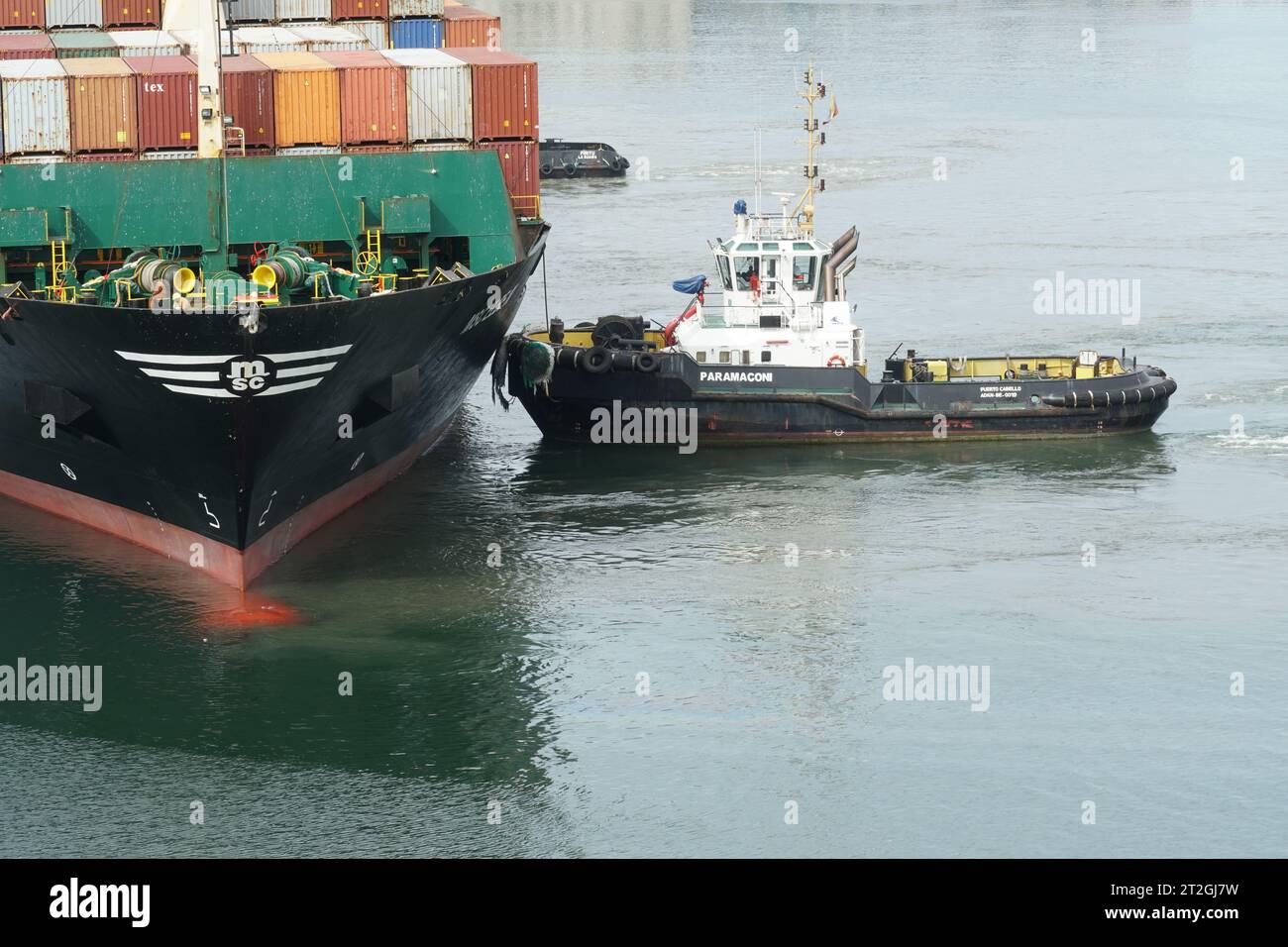 Container vessel with black hull of MSC company leaving the port with ...