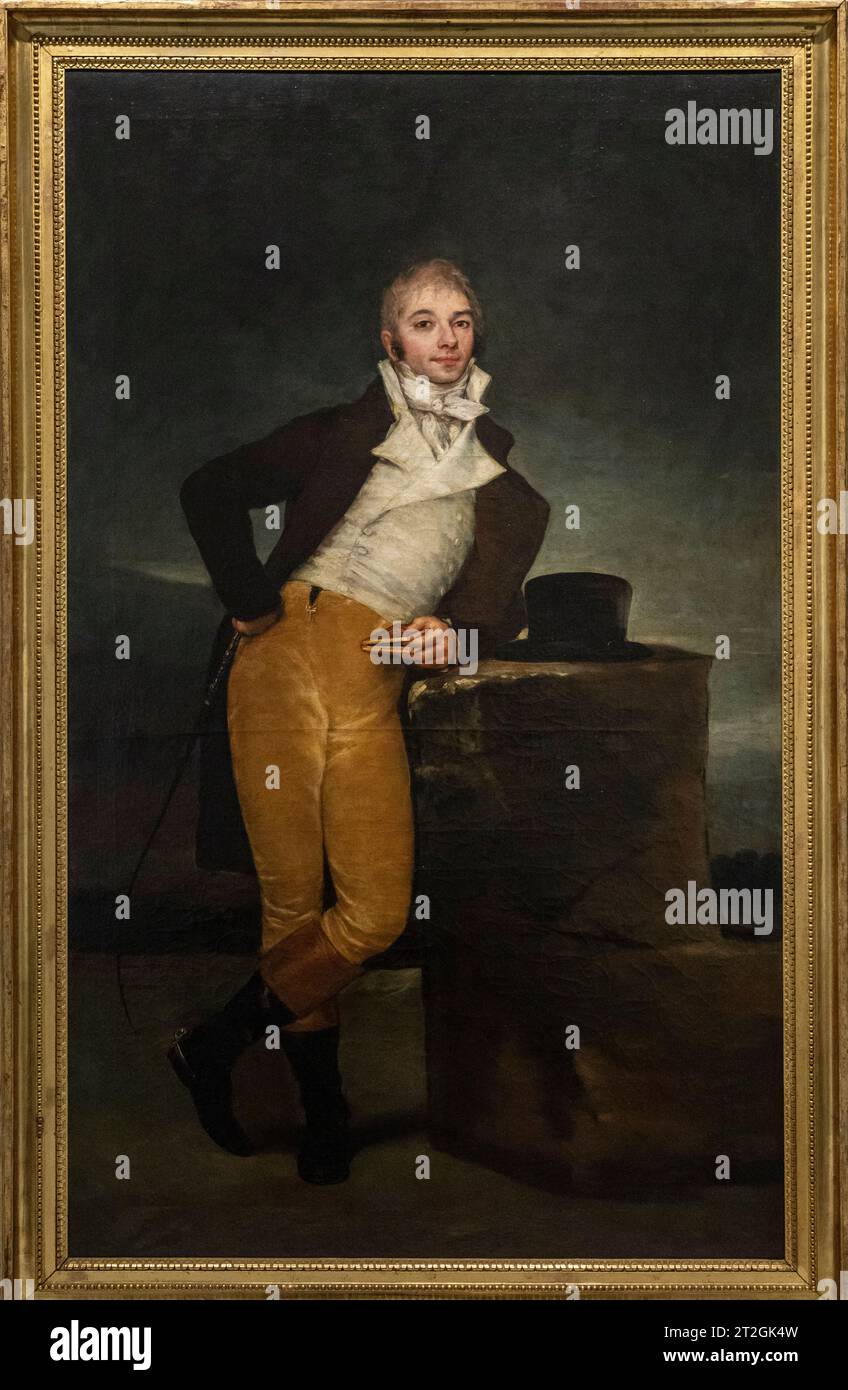 portrait of the Marquess of San Adrian, 1804, oil on canvas, Francisco ...