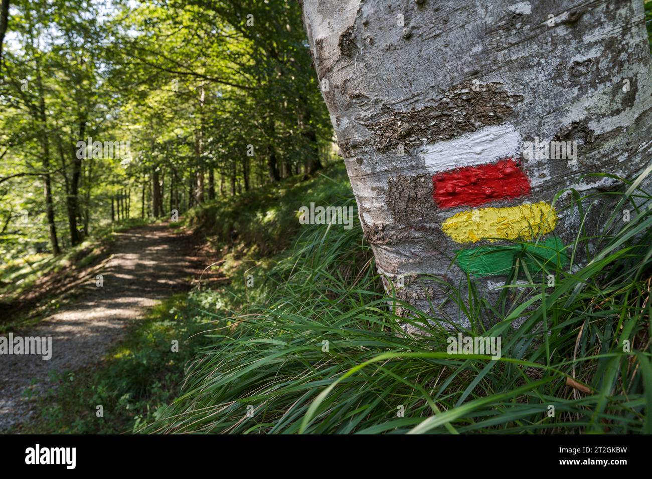 color signage of the route, GR path Altxonbide ibilbidea. GR 35, Aralar ...