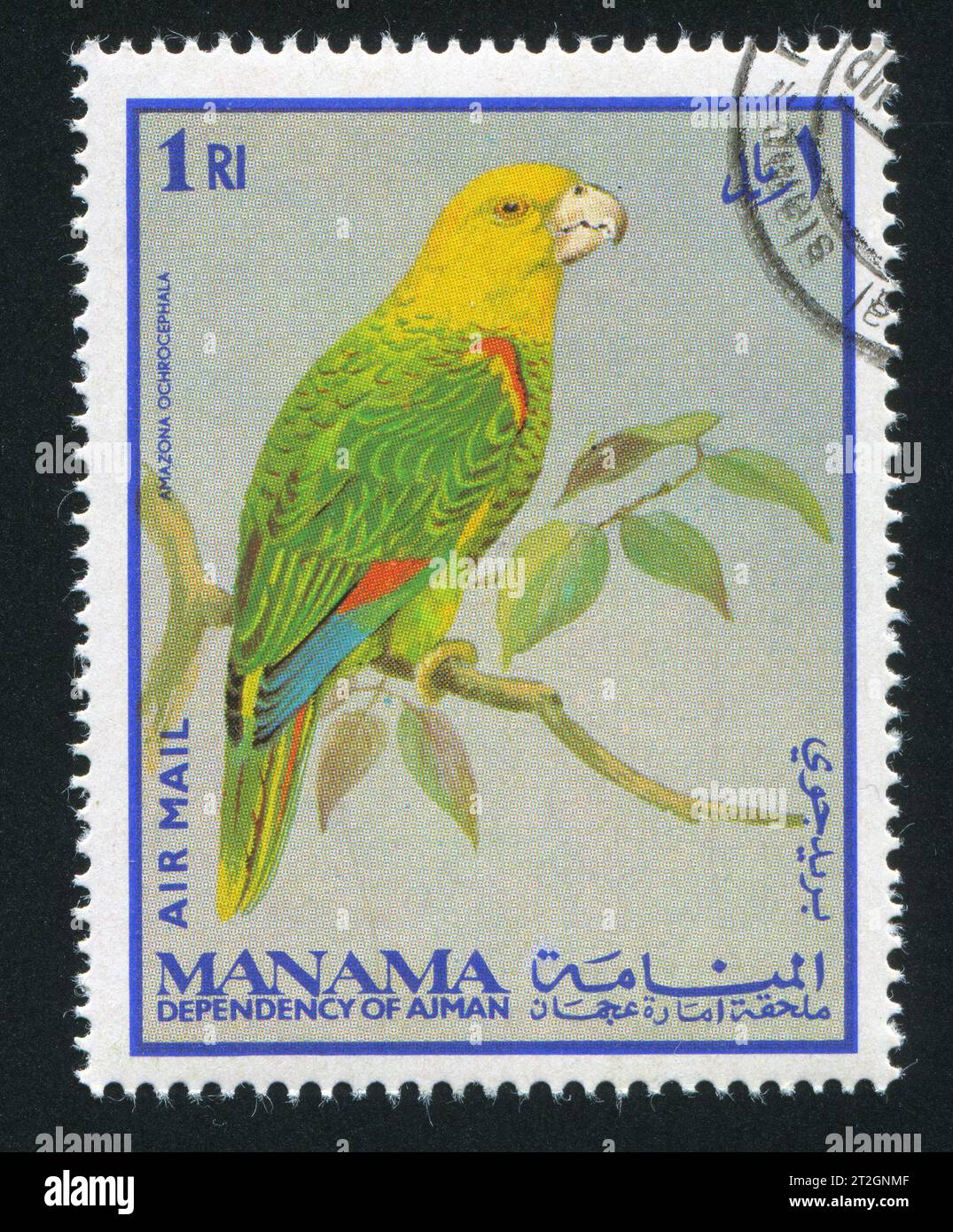 MANAMA - CIRCA 1976: stamp printed by Manama, shows Yellow-crowned ...