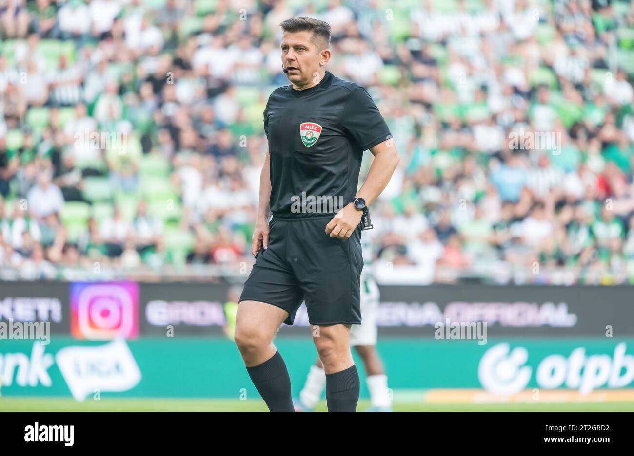 Jatekvezeto hi-res stock photography and images - Alamy