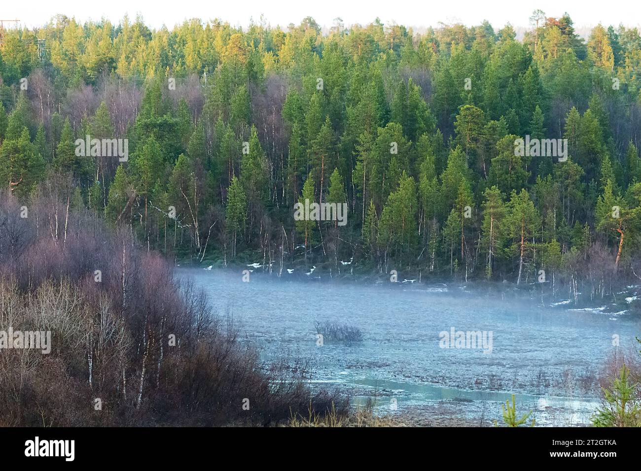 Water-surface, ground-level fog over the lake, ice and coniferous ...
