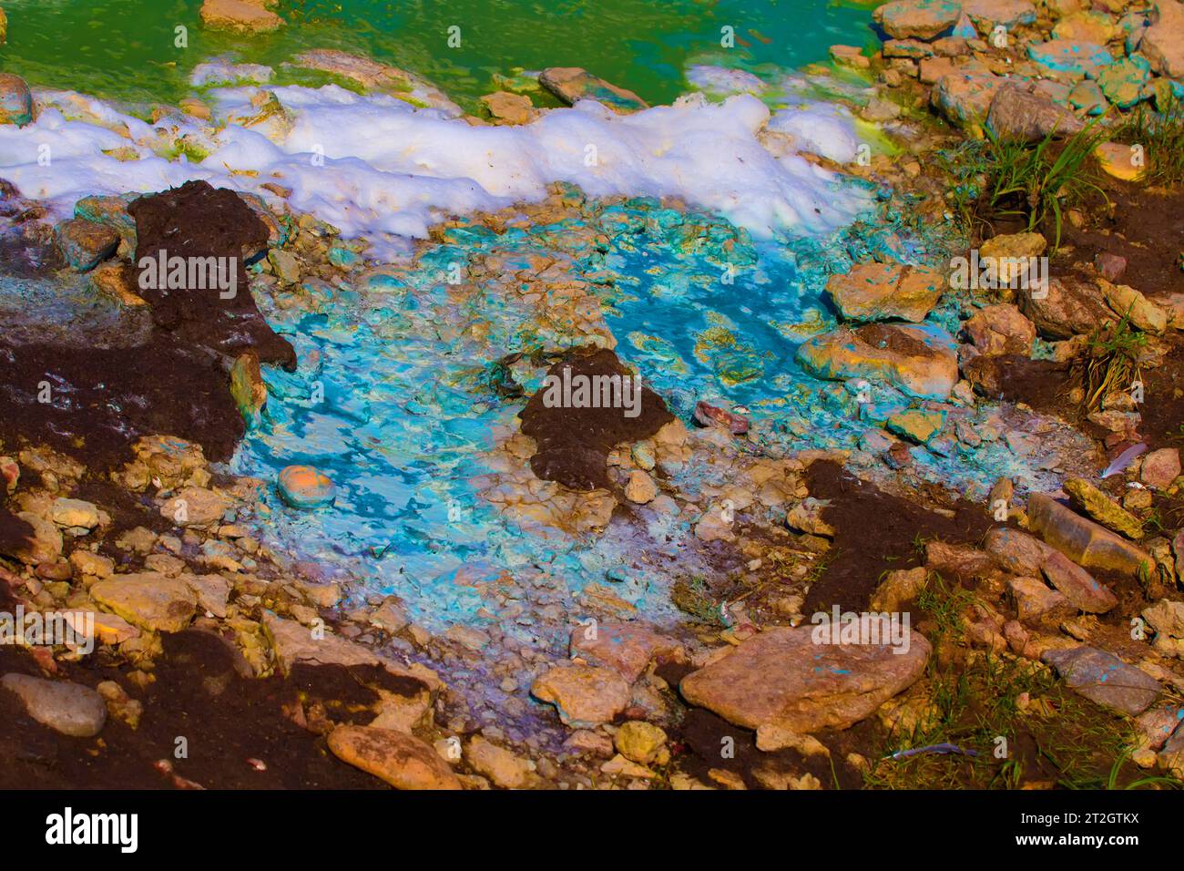 Blue algal blooms pond hi-res stock photography and images - Alamy