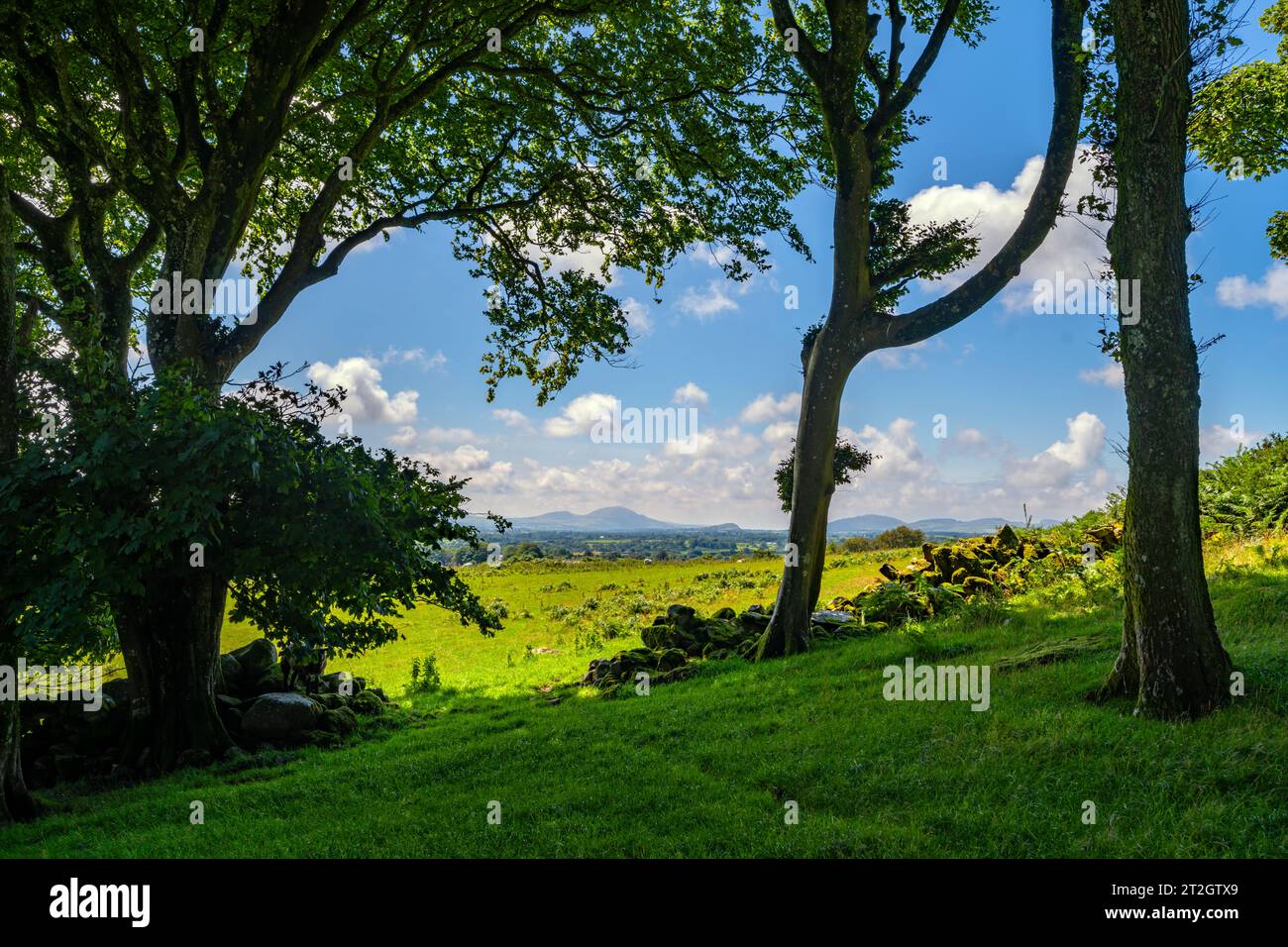 The hill behind St Cybi's Well Llangybi North Wales Stock Photo - Alamy