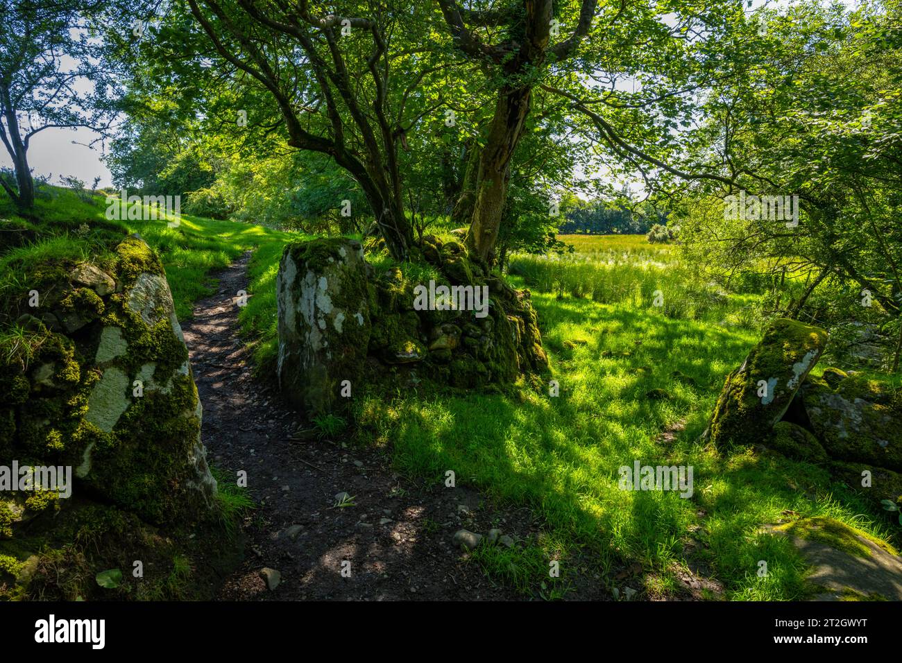 The path leading to St Cybi's Well Llangybi North Wales Stock Photo - Alamy