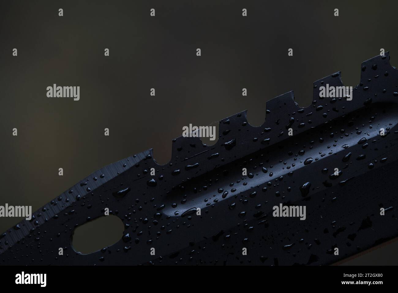 Jagged black blade of tactical knife in raindrops Stock Photo - Alamy