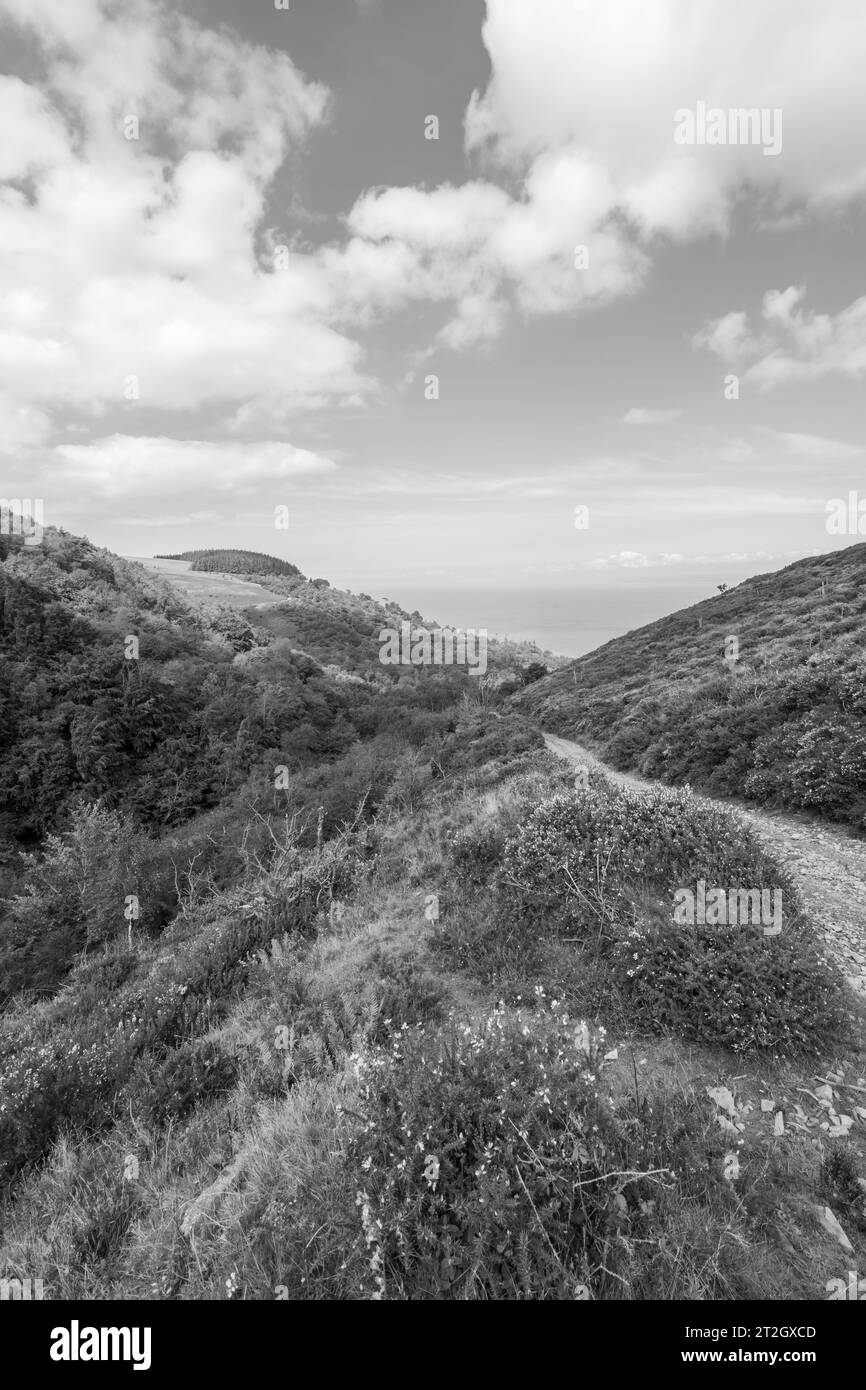 Exmoor national park and people Black and White Stock Photos & Images ...
