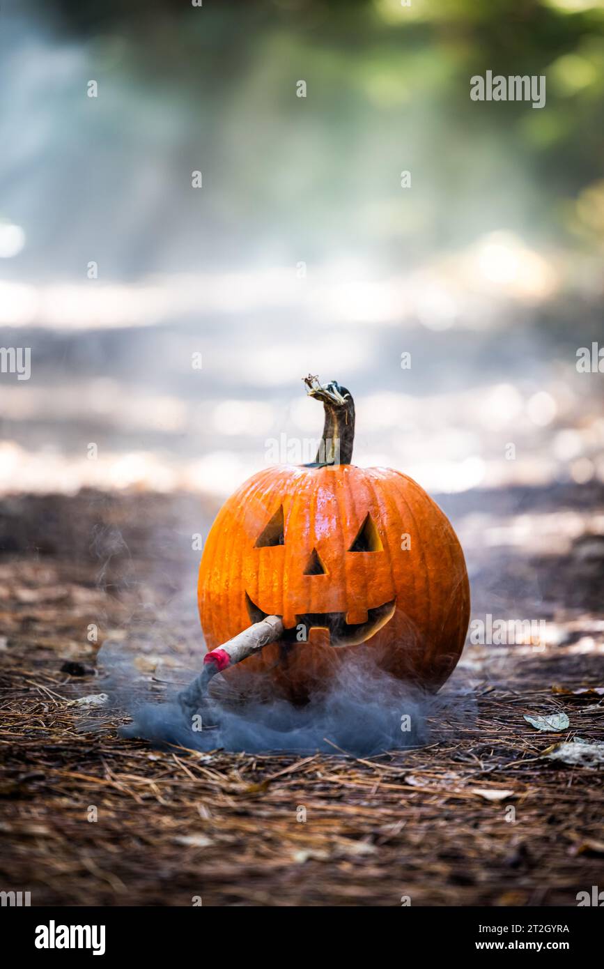 close up of a carved pumpkin for halloween smoking a cigar with smoke ...