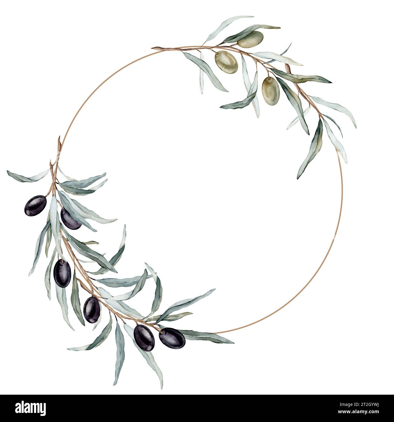 Watercolor round wreath with green olive berries and leaves.. Design ...