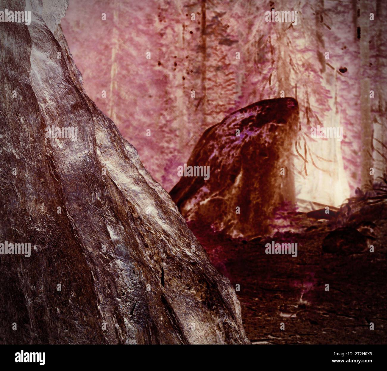 The magic rock Stock Photo - Alamy