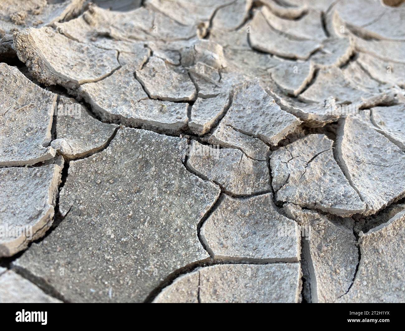 Drought, cracked earth in gray. earth without rain. background Stock ...