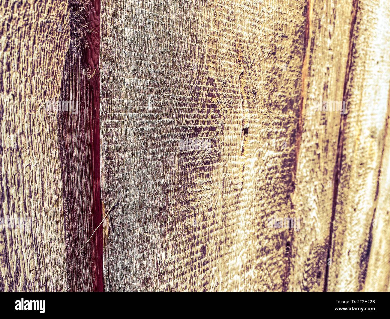 natural material, texture, background. gray wooden sticks, floor in a ...